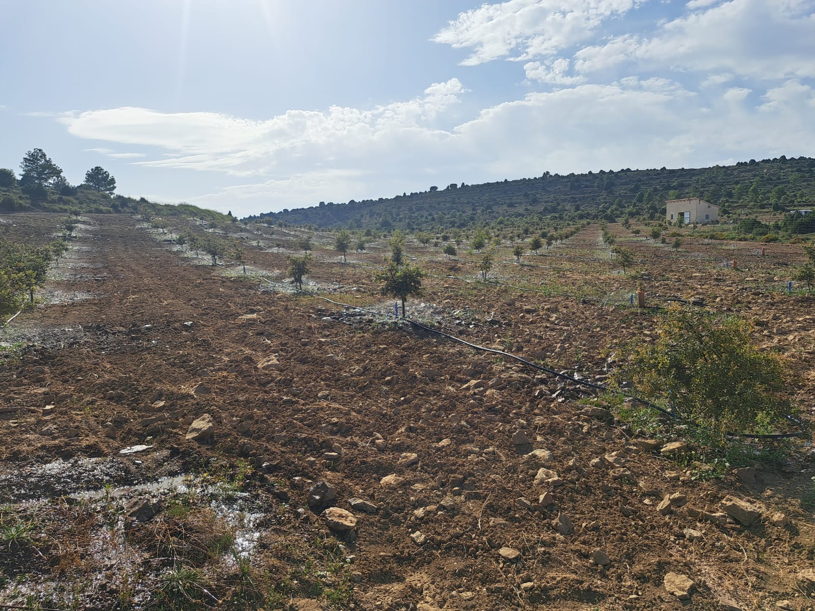 Inicio - Globaltek Ingenieria